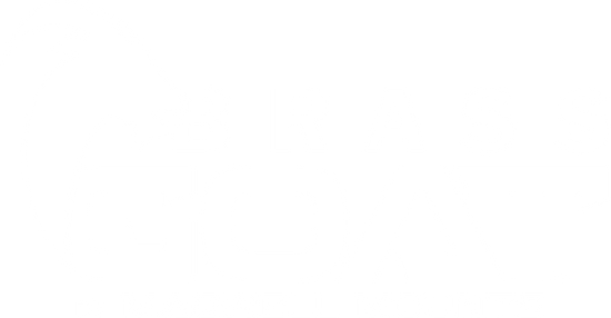 AR 15 & Gun Accessories, AR 15 Attachments, Tactical Brass Catcher ...